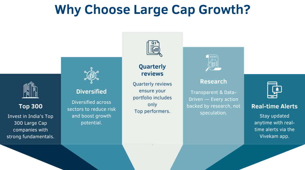 Large-Cap Growth Investments | Vivekam Financial Services